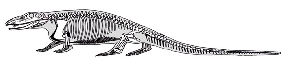Varanosaurus